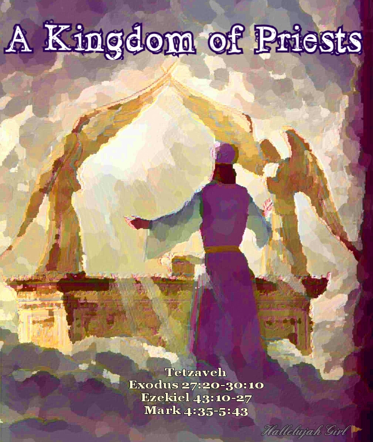 A Kingdom of Priests – Happy Day